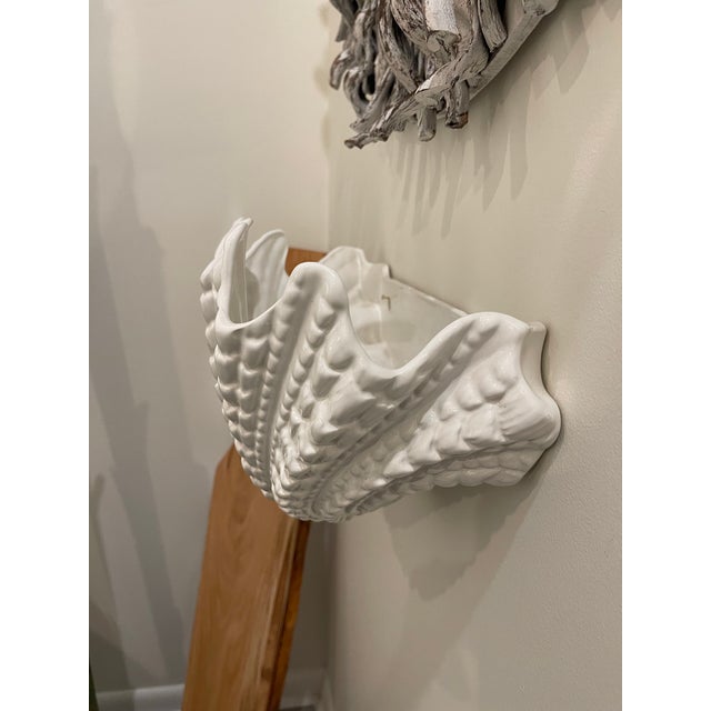 White Shell Sconce | Chairish