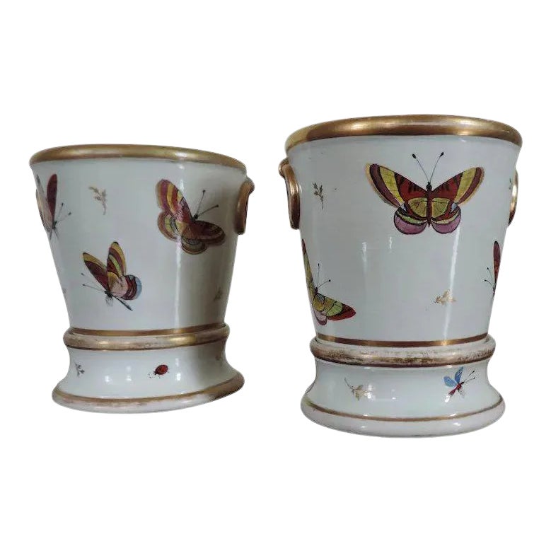 Early 19th Century Spode Porcelain Butterfly Pattern Flower Root Pots ...