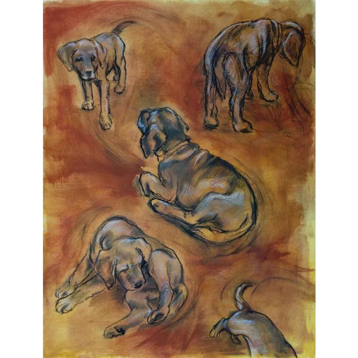 Dog Art Puppy Sketches, Contemporary Drawing by Kathleen Ney | Chairish