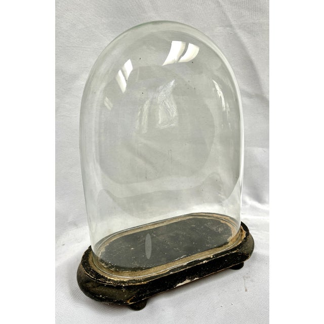 Late 1800s French Cloche on Oval Wood Footed Stand | Chairish