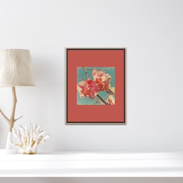 Scott Runkel's Beverly Hills Orchid Bloom With Muted Red Border Giclée ...