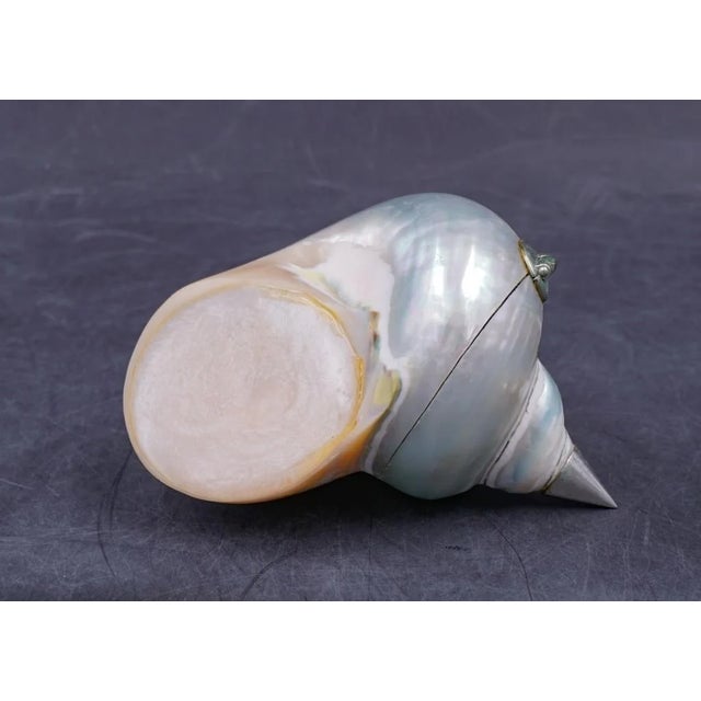 Vintage Polished Shell Box | Chairish