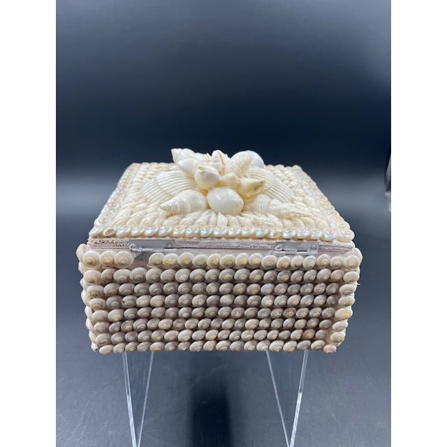 Mid 20th Century Seashell Covered Trinket/Jewel Box With Lid | Chairish