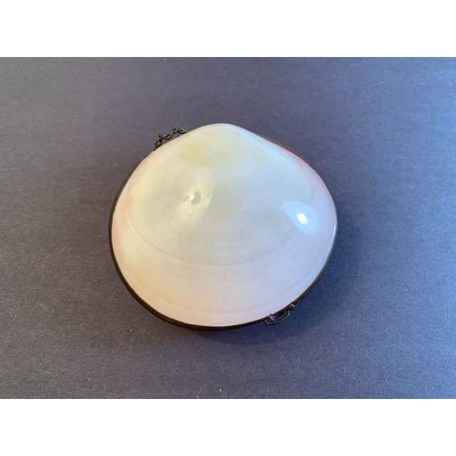 Late 20th Century Vintage Natural Shell Trinket Box | Chairish