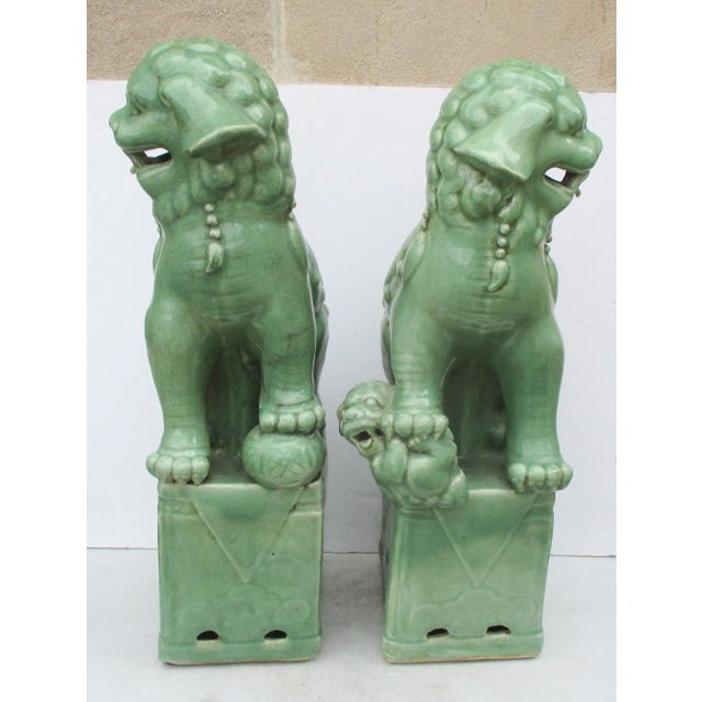 Chinese Celadon Porcelain Large Foo Dogs - a Pair of 2 | Chairish