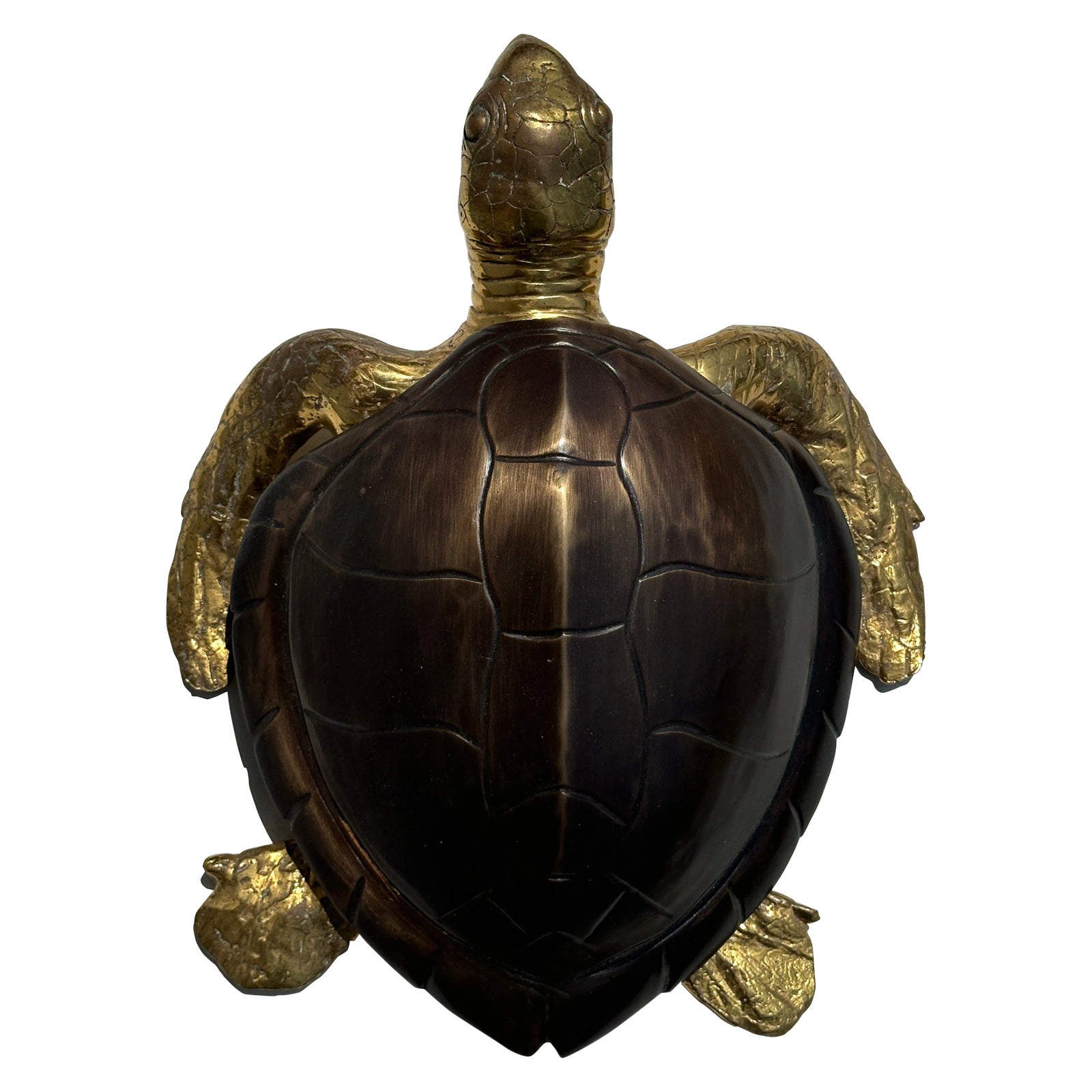 1970s Brass Hawksbill Sea Turtle Box | Chairish
