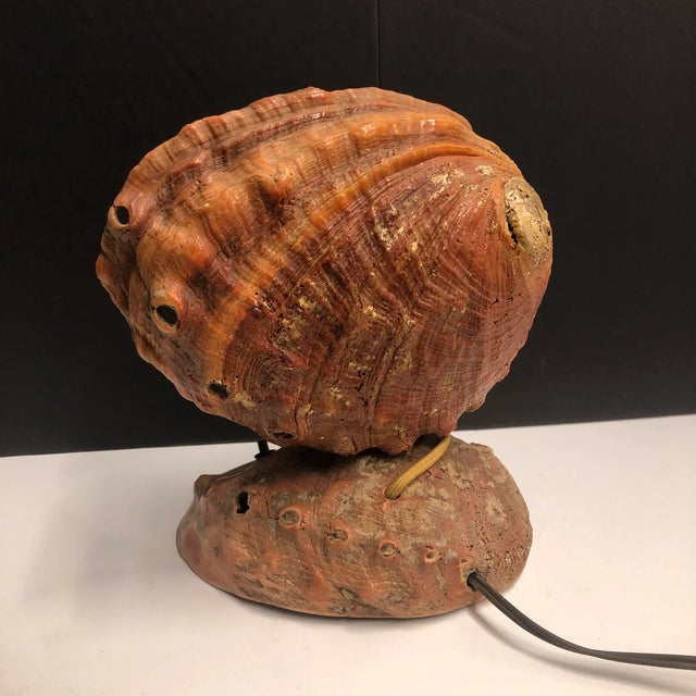 1950s Large Seashell Accent Light | Chairish