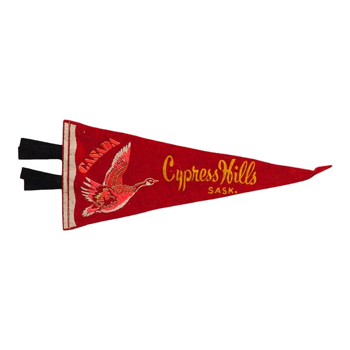 Vintage Cypress Hills Saskatchewan Canada Felt Flag Pennant | Chairish