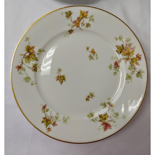Vintage Haviland's Autumn Leaf Pattern Dinner Plates, Set of 6 | Chairish