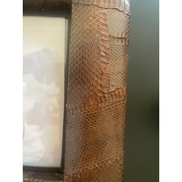 New Bespoke Patchwork Snakeskin Picture Frame | Chairish