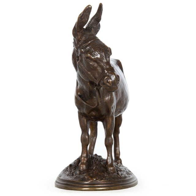 French Antique Bronze Sculpture of “African Donkey” by Auguste Cain ...