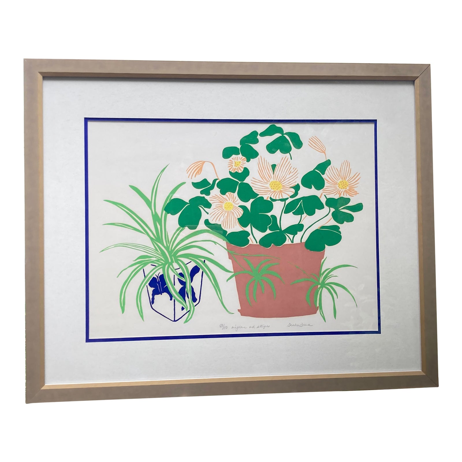 2008 Original Lithograph Limited Edition Botanical Print "Airplane and ...