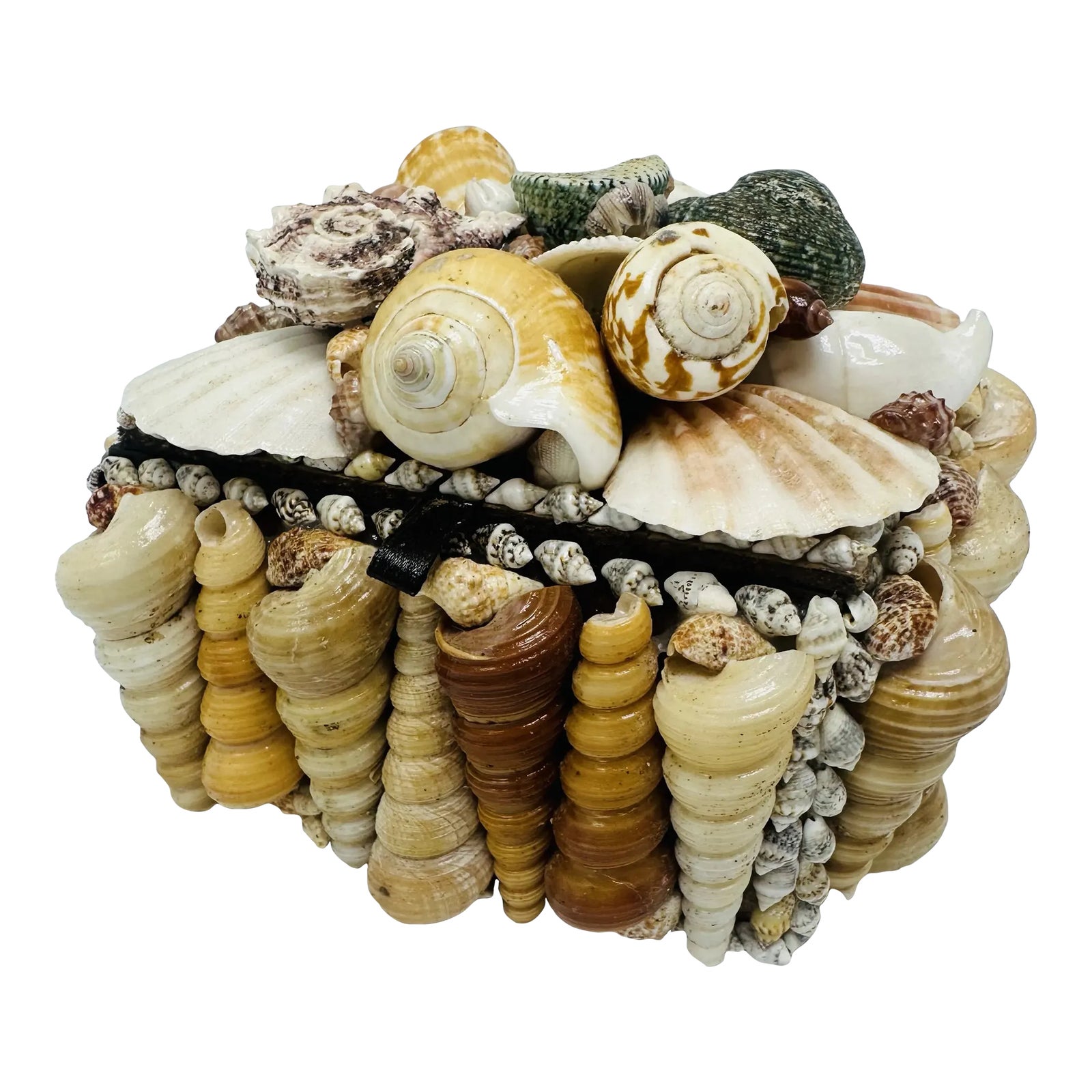 Vintage Shell Box | Chairish