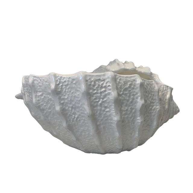 Antique Stafford White Italian Porcelain Seashell Conch, Made in Italy ...