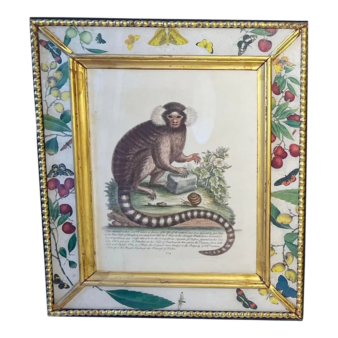 Antique Monkey Engraving | Chairish