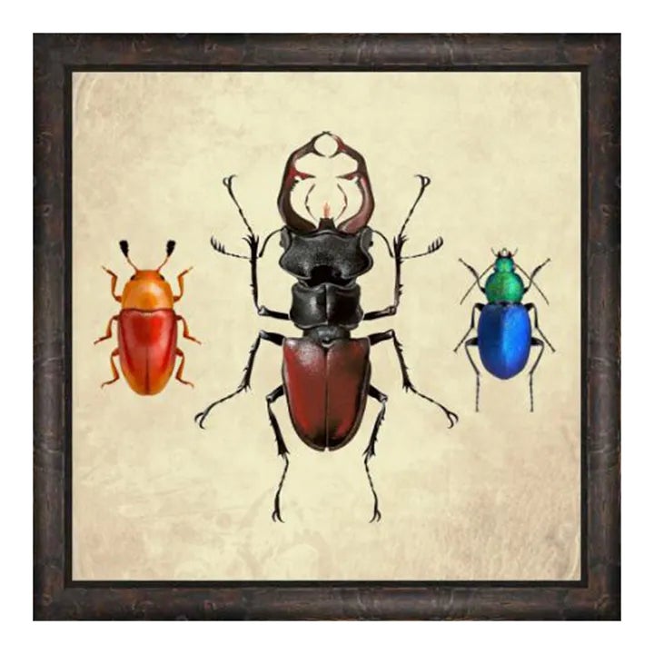 Beetles, Bugs, Insects Still Life Print #2 | Chairish
