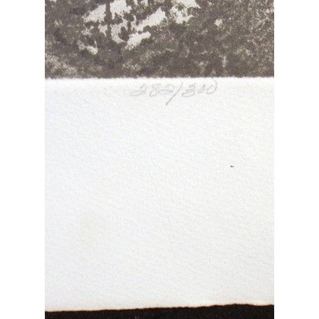 1980s "Olympia" Pine Trees Landscape Etching by Catherine Ruane O ...