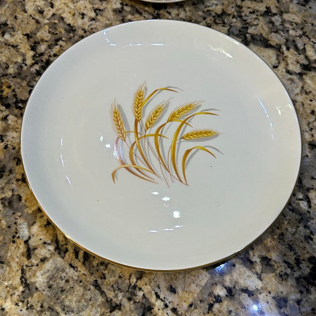 1950s Homer Laughlin Bone China in Golden Wheat Pattern Dinnerware Set ...
