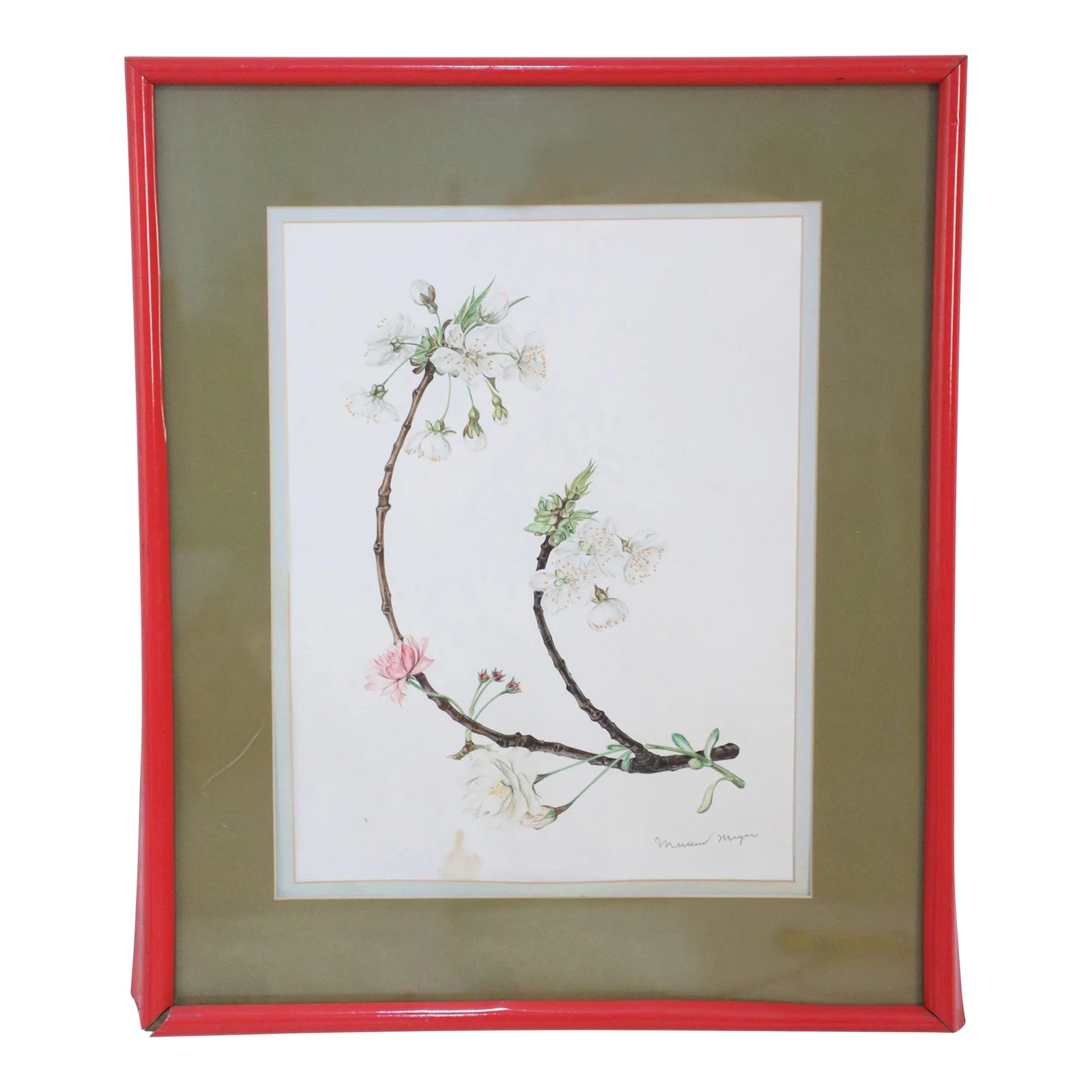 Framed Illustration of a Budding Flower Branch | Chairish
