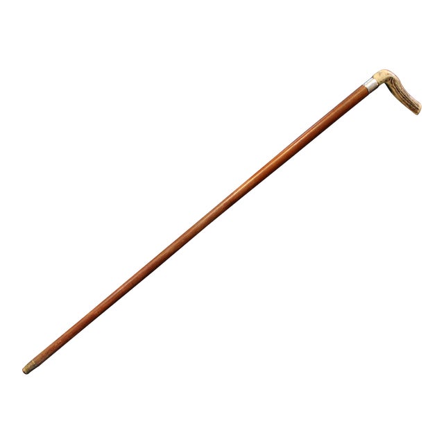 Early 20th Century Antler Handled Malacca Walking Stick | Chairish