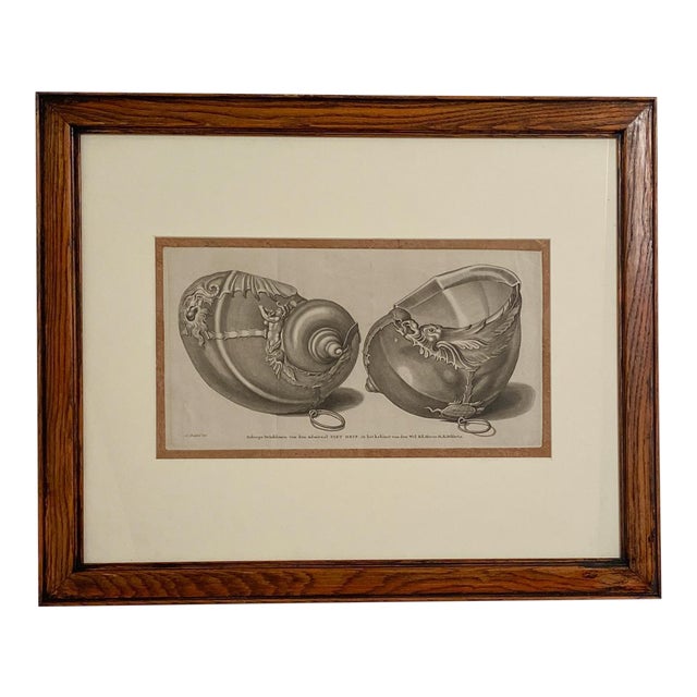 Circa 19th Century Baroque Sea Shell Drinking Cups Engraving | Chairish