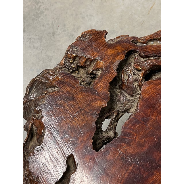 Vintage Burl Wood Root Live Edge Coffee Table | Chairish