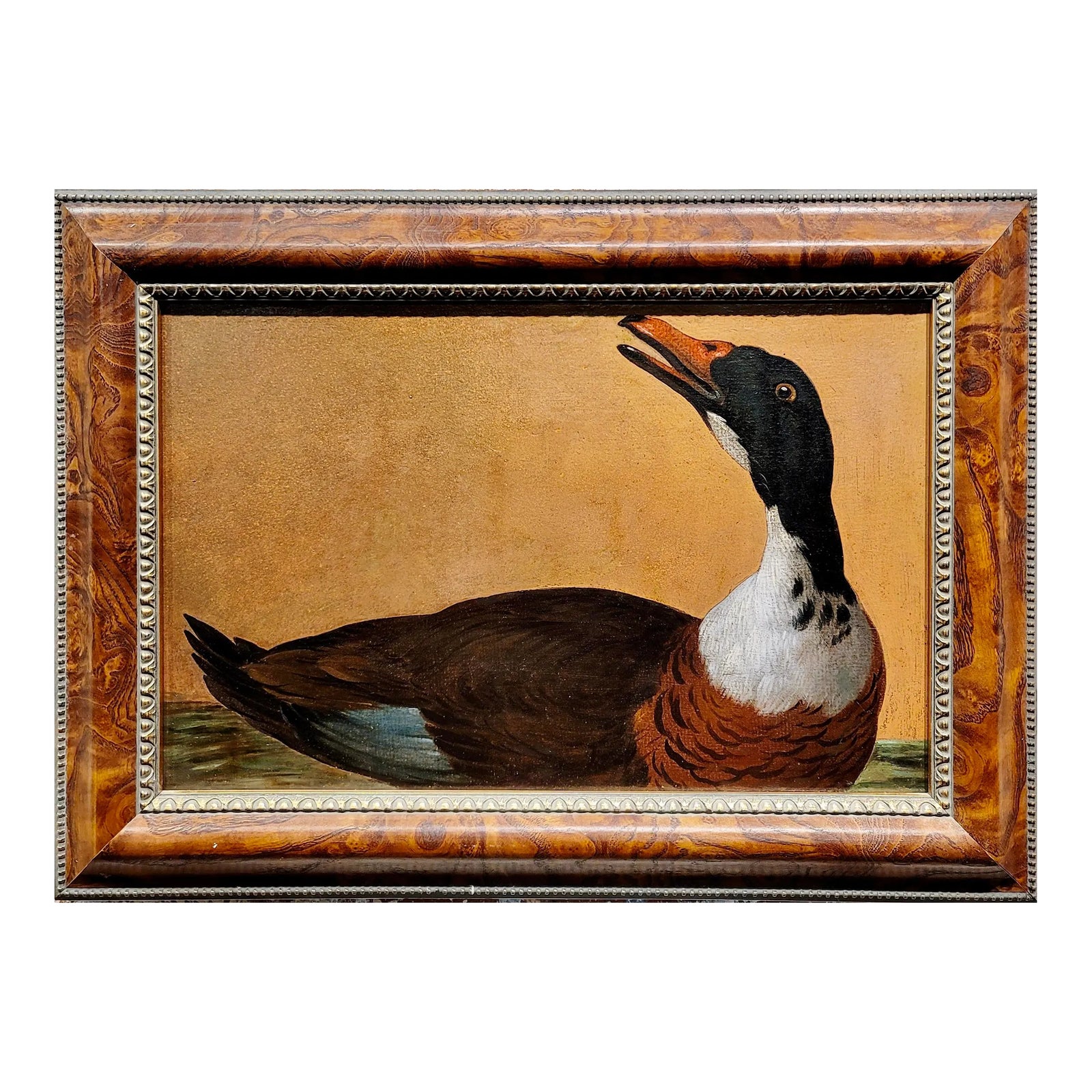 19th Century Study of a Colorful Goose Oil Painting | Chairish