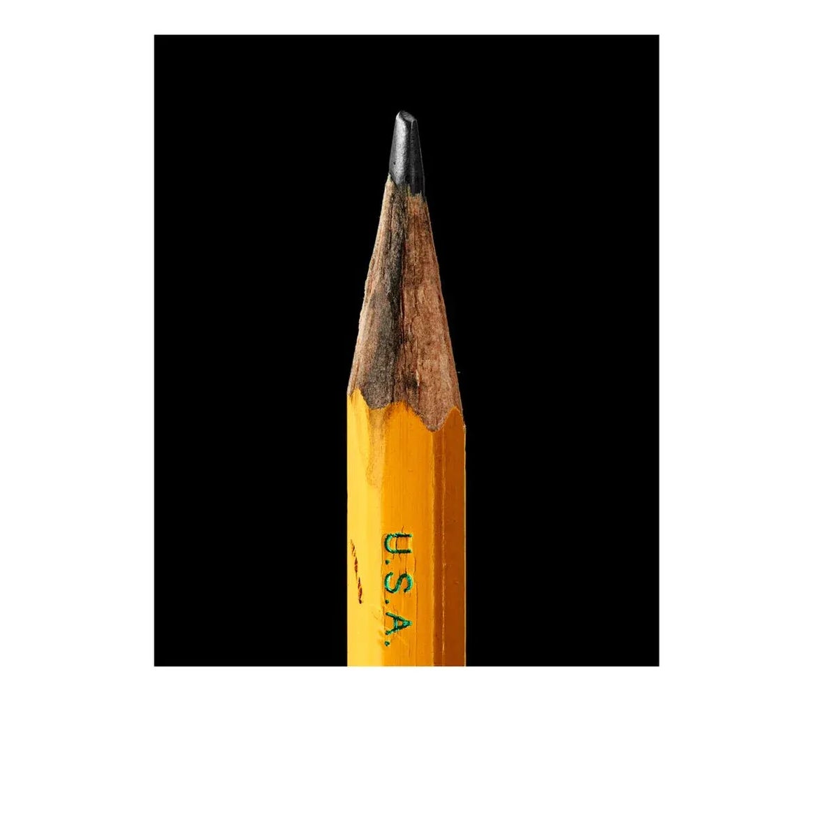 Nigel Parkinson's Pencil by Secret Life of Pencil Print, 24" x 32 ...
