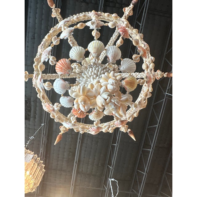 Vintage 6 Light Encrusted Seashell Shell Palm Beach Chandelier | Chairish