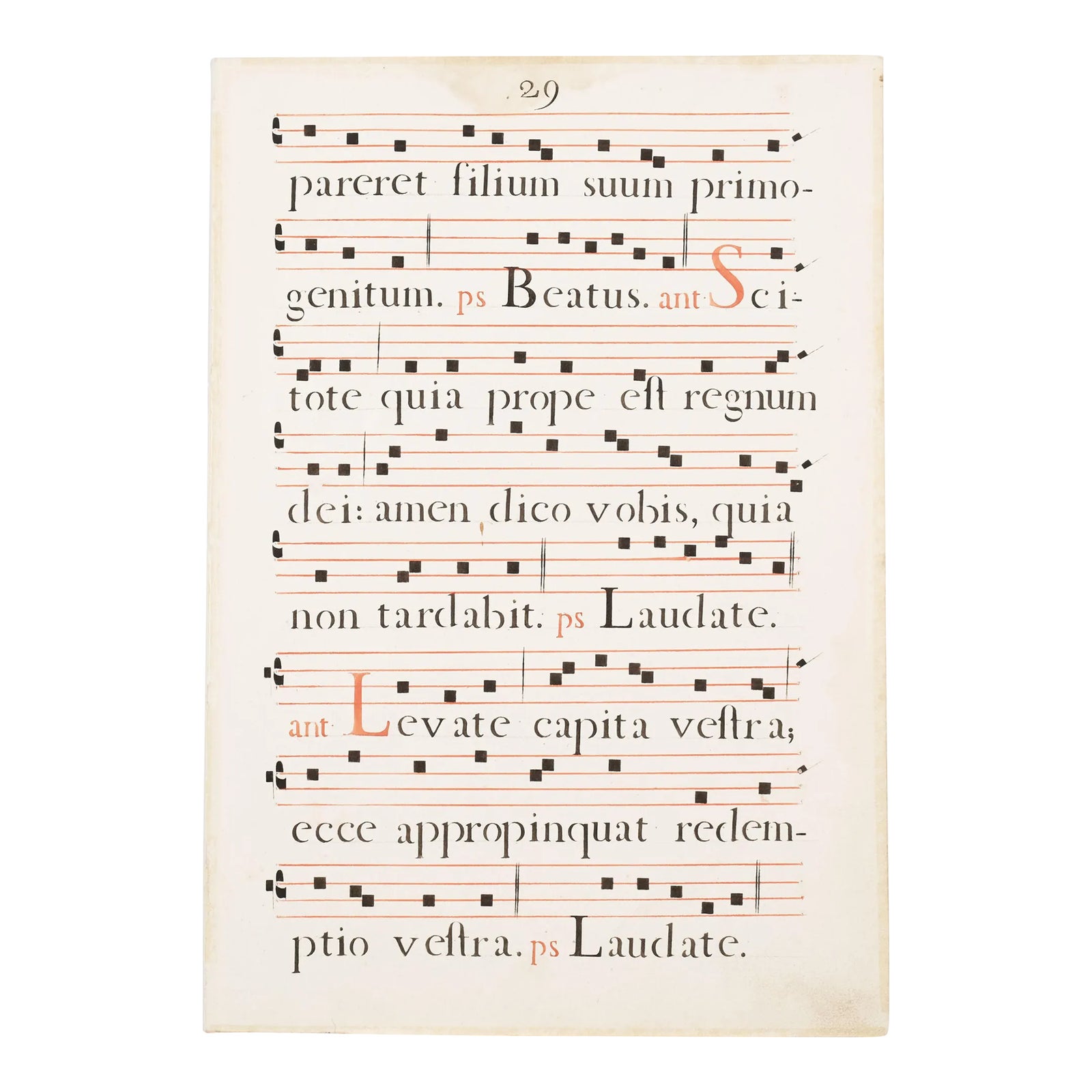 17th Century Antiphonal Music Two Sided Vellum Manuscript 18" × 12 ...