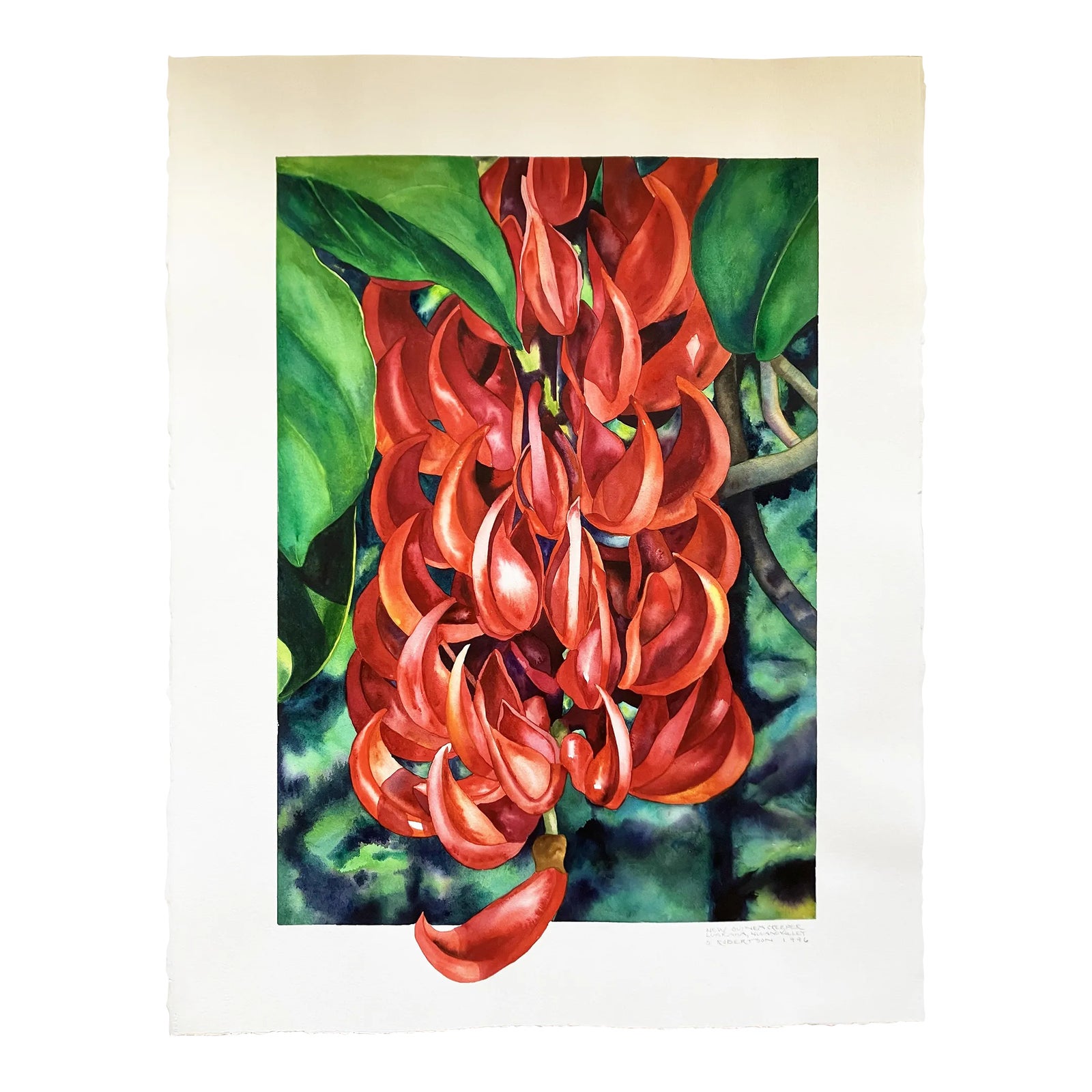 Sally Robertson New Guinea Creeper, 1996 | Chairish