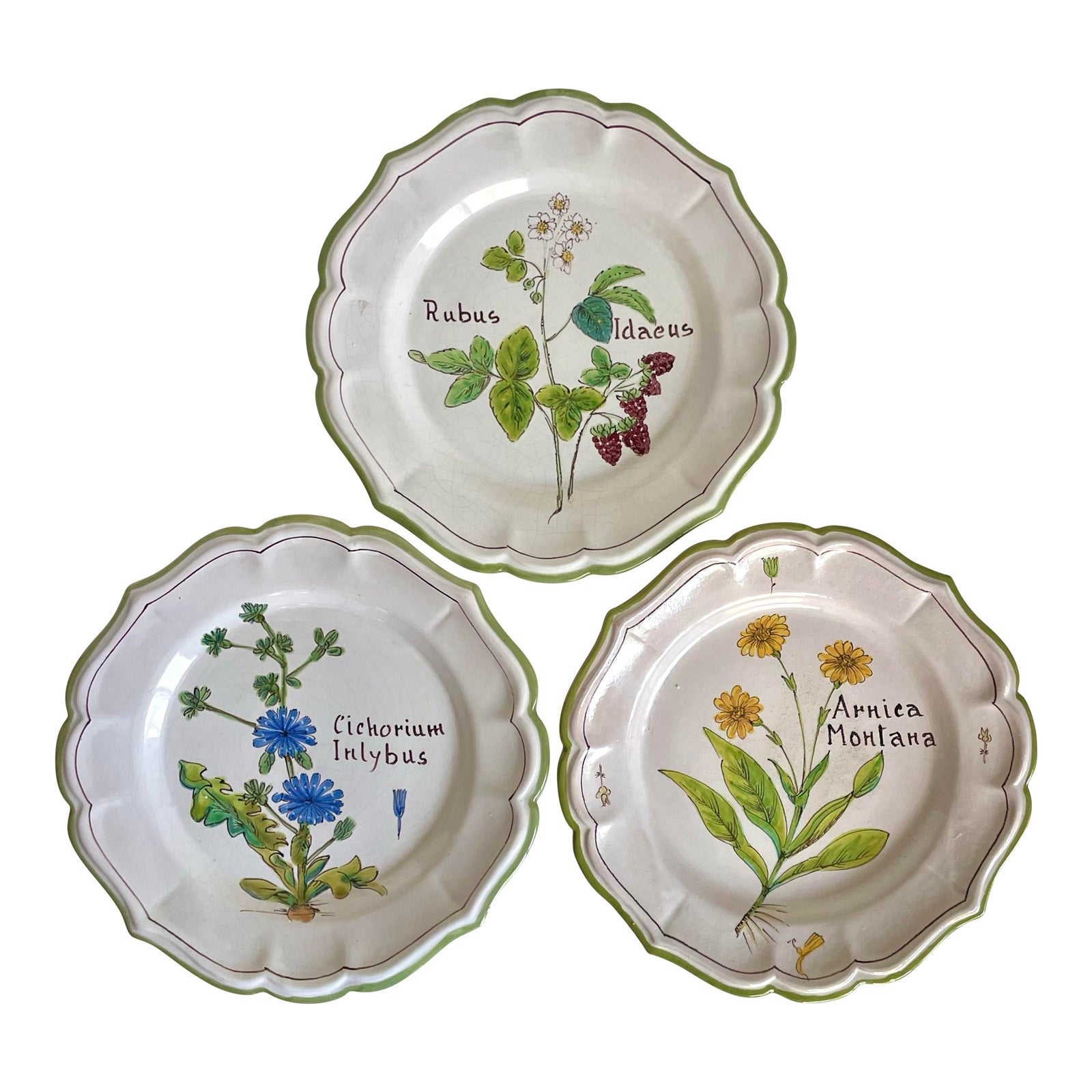 Set of 3 Italian Floral Ceramic Hand-Painted Wall Plates | Chairish