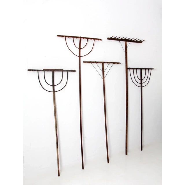 Antique Primitive Hay Rakes Collection - 5 Piece | Chairish