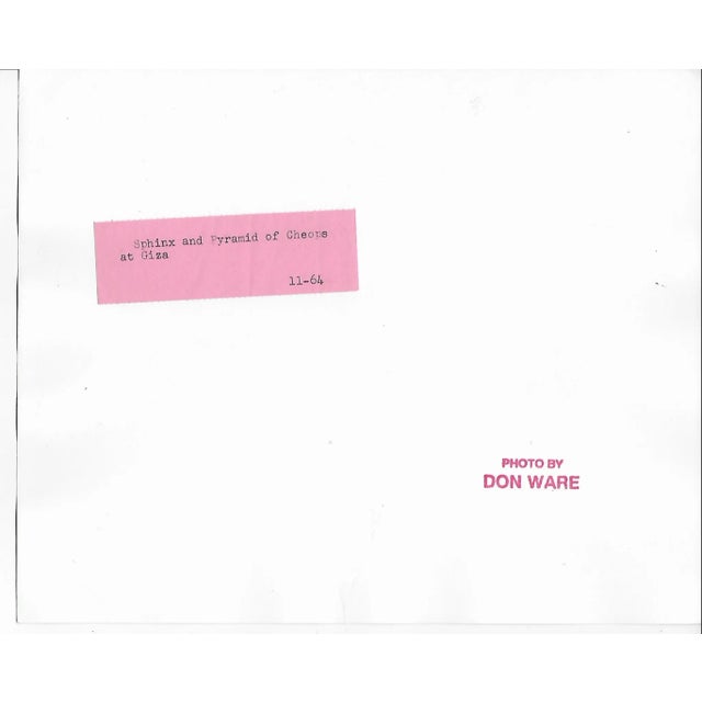 1964 Sphinx and Pyramid Egypt by Don Ware | Chairish