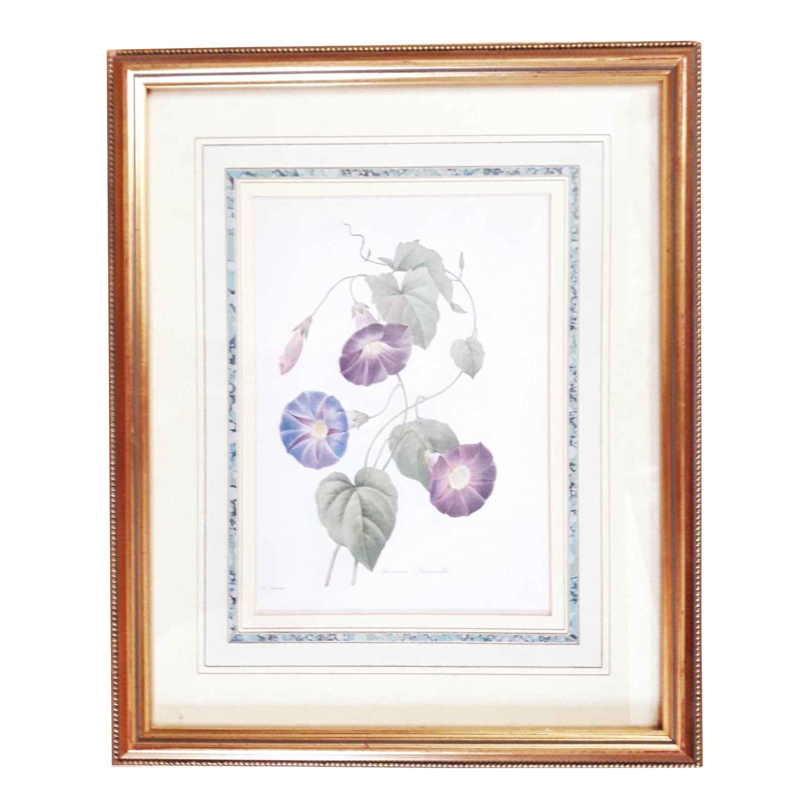 1980s Pierre-Joseph Redouté Floral Print | Chairish