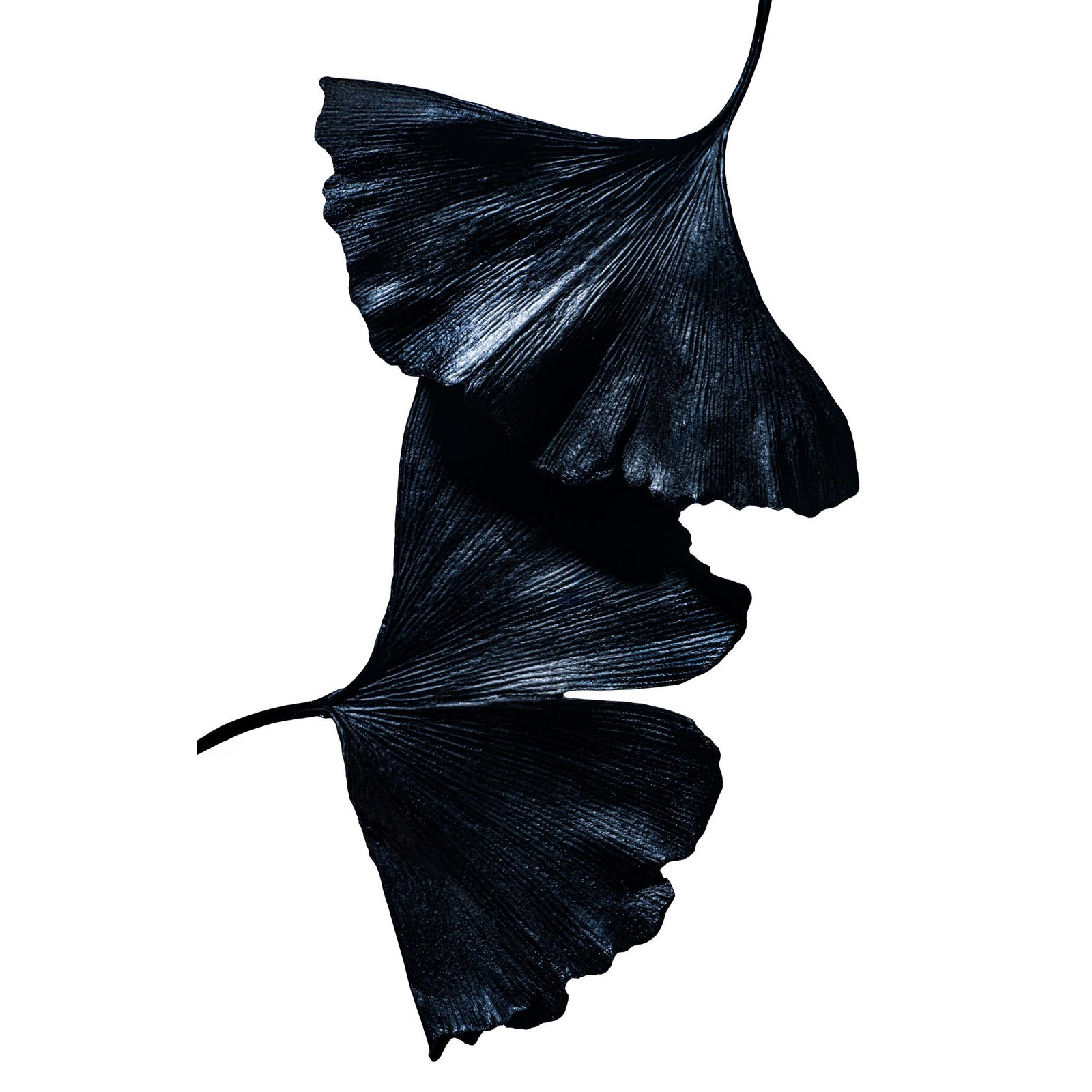 Ginkgo Biloba II by Sivan Roshianu – Limited Edition Abstract ...