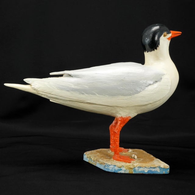 Vintage Mid 20th Century Folk Art Carved Wood Tern Shorebird | Chairish