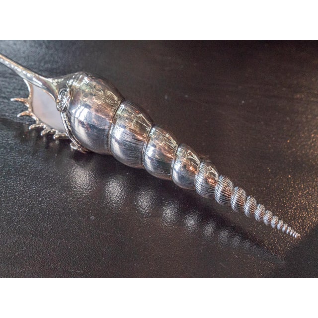 Creel and Gow Silvered Sea Shell Tibia Fusus | Chairish