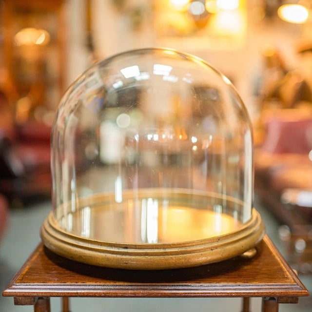 1880's Antique Victorian English Mirrored Display Dome | Chairish