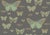 Cole & Son Butterflies & Dragons Classic Style Wallpaper Sample | Chairish
