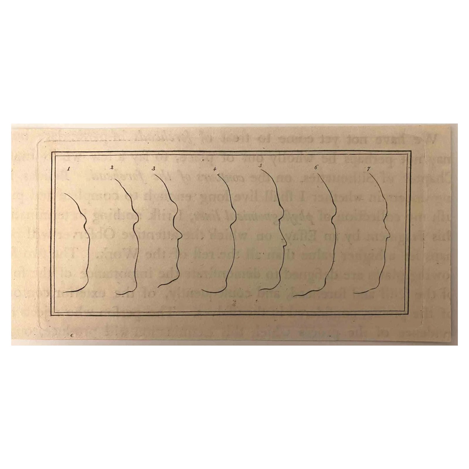 Thomas Holloway, Profiles, Original Etching, 1810 | Chairish
