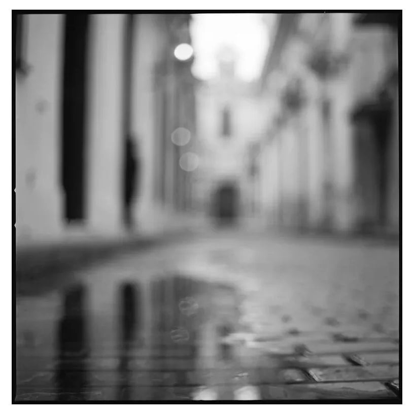 Paul Cooklin, Rain III, Silver Gelatin Photograph, Limited Edition of ...