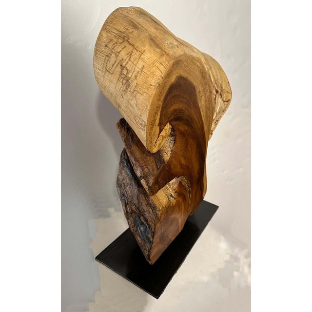 Acacia Organic Raw Edge Slab Sculpture on a Black Rectangular Steel ...