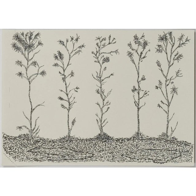 Andrew Muns Life in a Barren Land Original Ink Drawing | Chairish