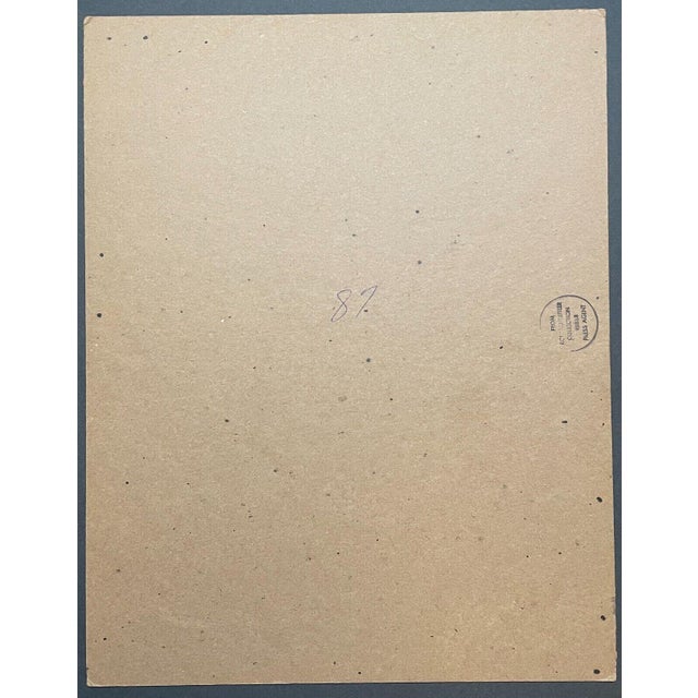 Original Ringling Bros Circus Elephant Portrait Photo - Roland Butler ...