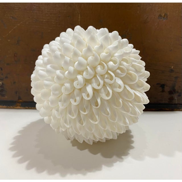 White Sea Shell Ball Vintage 1990’s | Chairish