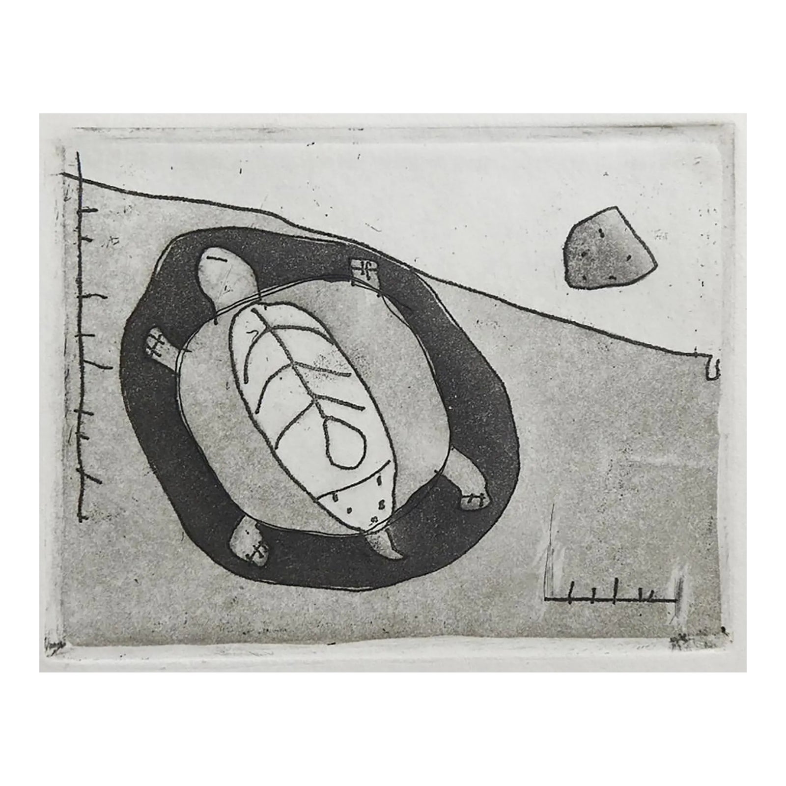 Small 1988 Abstract Turtle Aquatint Etching | Chairish