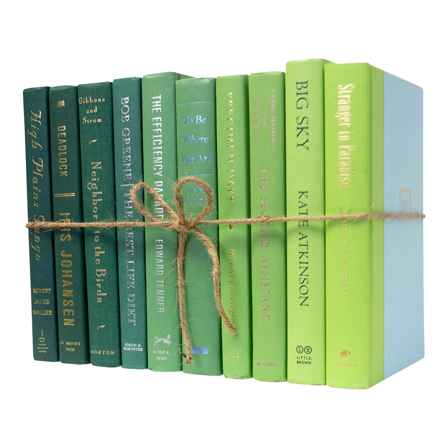 Modern Boxwood Ombré ColorPak | Chairish