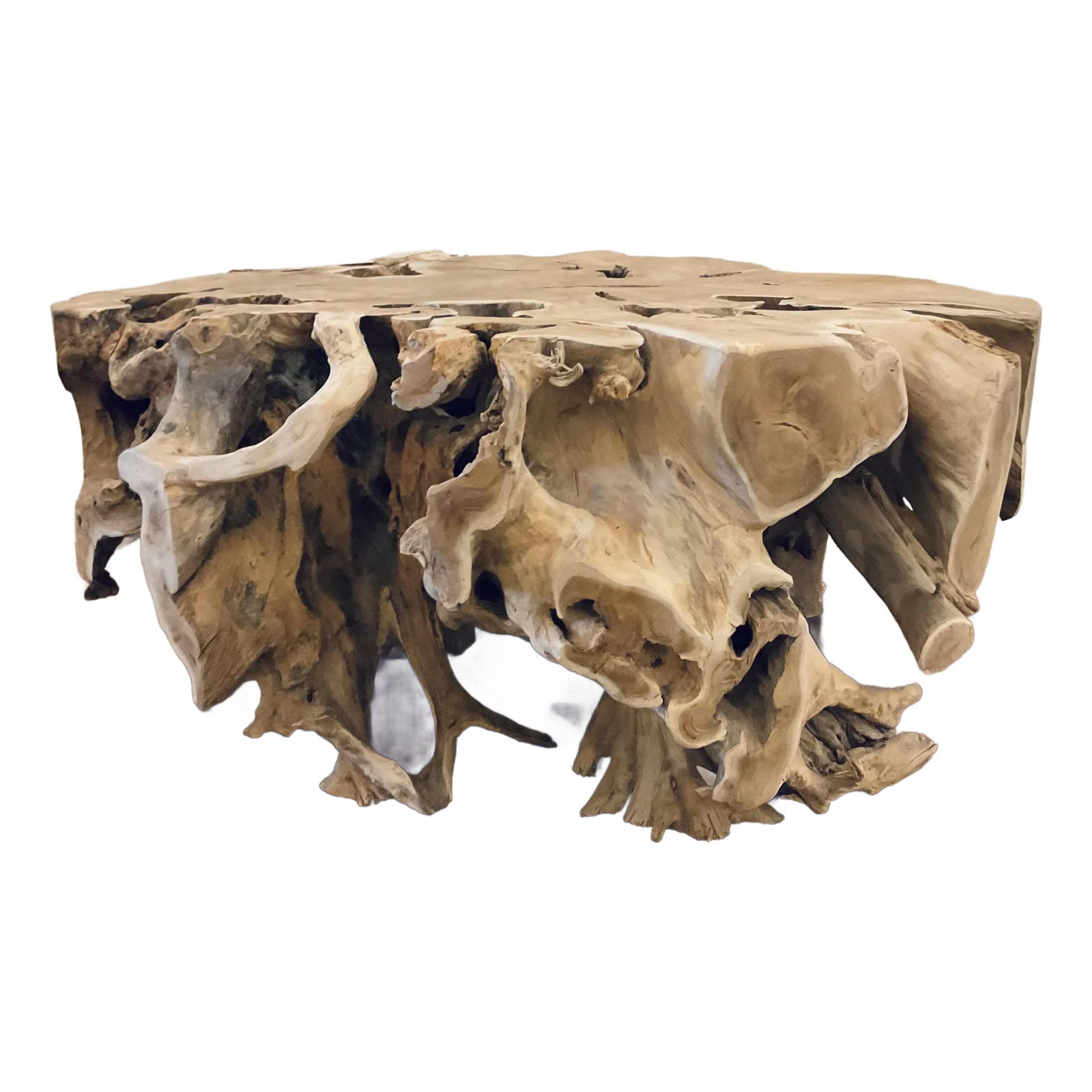 Organic Modern Teak Root Ball Cocktail Table | Chairish