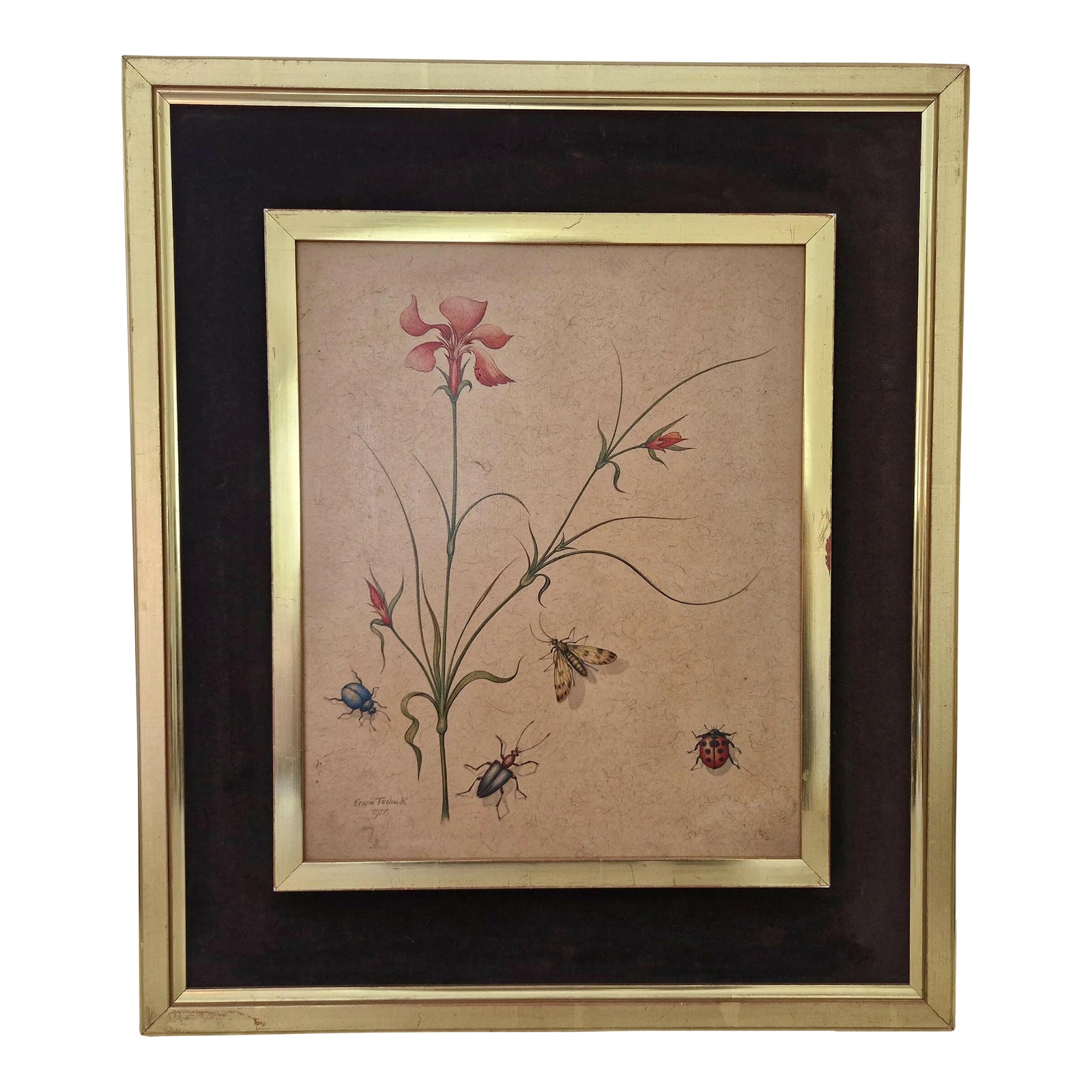 Watercolor Insect and Flower Blossom Painting by Erwin Tschudi. Framed ...